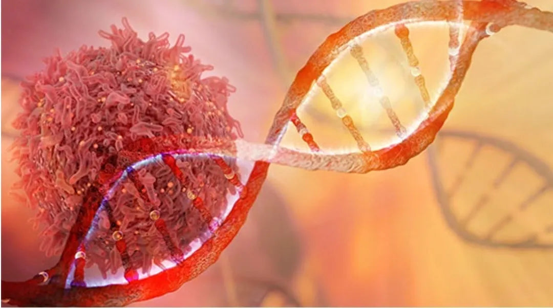 Astaxanthin For Cancer
